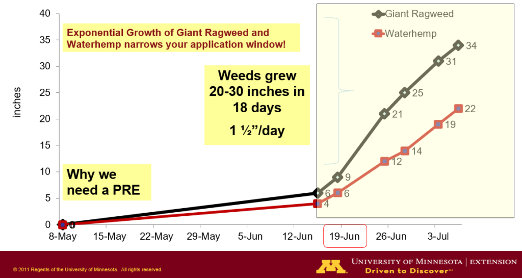 Crop Spraying » Elevated Ag Solutions